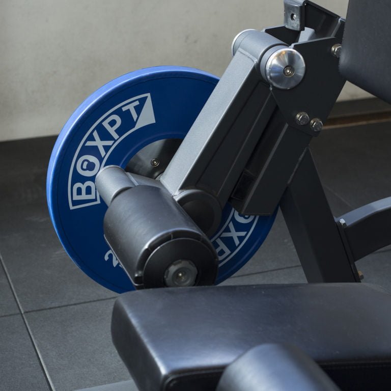 LEG CURVE – BOXPT Equipment